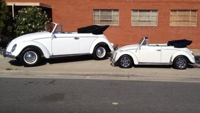 HUGE BUG, VW BEETLE GERGASI. HUMMER PUN BOLEH KALAH BESAR GINI ...